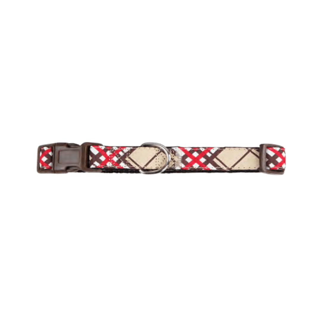 COLLAR DE CUADROD PARA PERRO - Aqua Mascotas